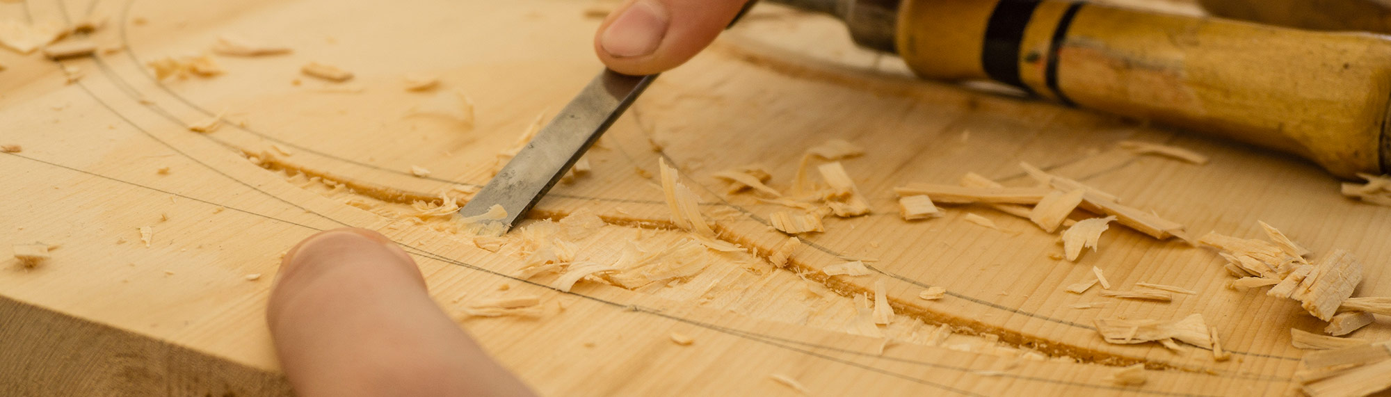 Glosario de la madera - CoopwoodPlus